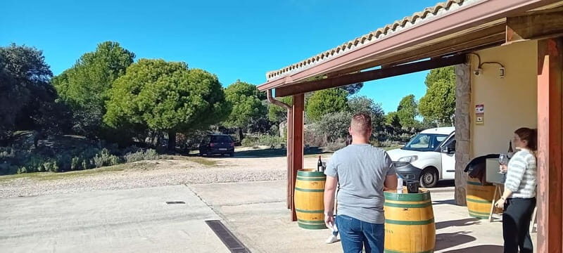 Madrid Wine Tour: Visit Two Wineries with Tastings - The Itinerary in Detail