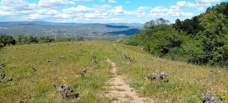 Madrid Wine Tour: Visit Two Wineries with Tastings - The Sum Up