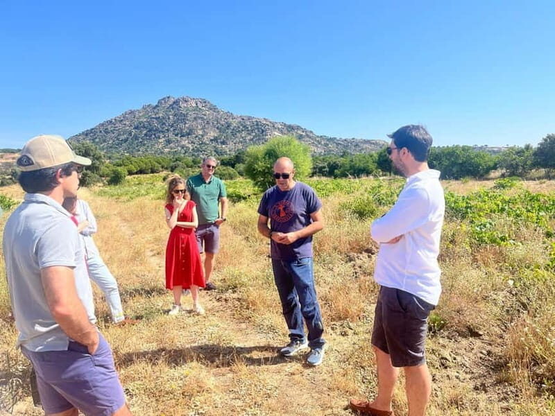 Madrid Winery Tour with Tasting & Sommelier Guide - Who Will Love This Tour?