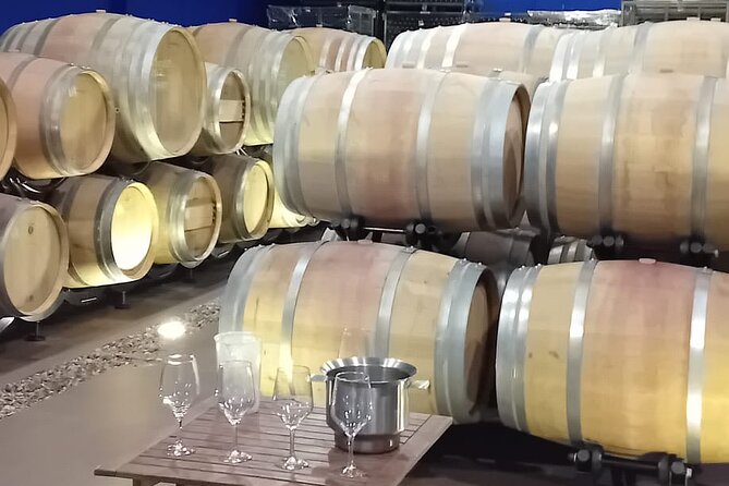 Madrid Winery Tour with Tasting & Sommelier Guide - Key Points