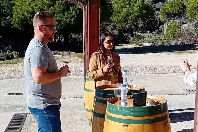 Madrid Winery Tour with Tasting & Sommelier Guide - Why This Tour Works for You