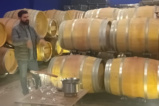 Madrid Winery Tour with Tasting & Sommelier Guide - Practical Details and Tips
