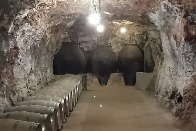 Madrid Winery Tour with Tasting & Sommelier Guide - FAQs