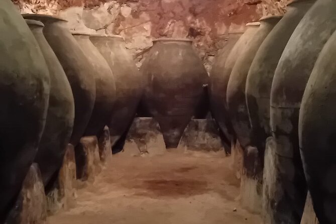 Madrid Winery Tour with Tasting & Sommelier Guide - Final Thoughts