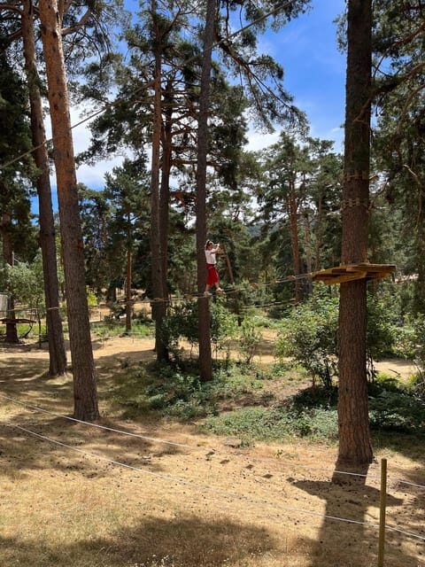 Madrid: Zip line circuits high in the trees - What to Expect from Your Zip Line Circuit Experience