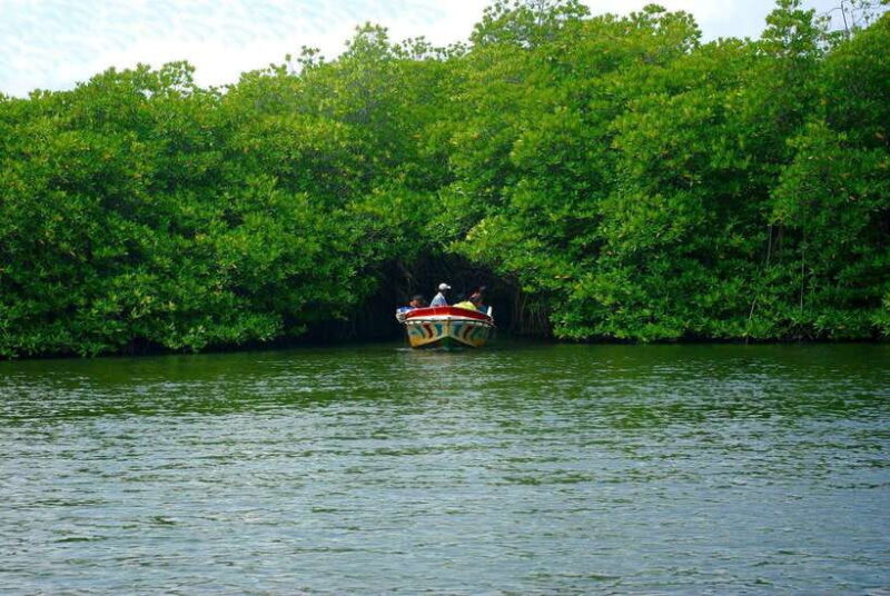 Madu River Boat Safari: A Journey Through Nature's Paradise - Key Points
