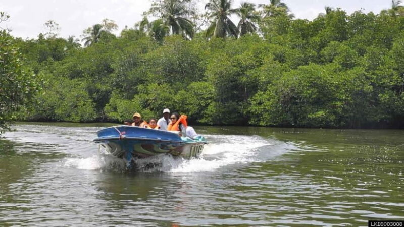 Madu River Boat Safari: A Journey Through Nature's Paradise - The Sum Up
