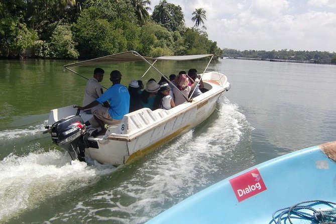 Madu River Boat Safari Balapitiya - Introduction: A Glimpse into the Madu River Boat Safari