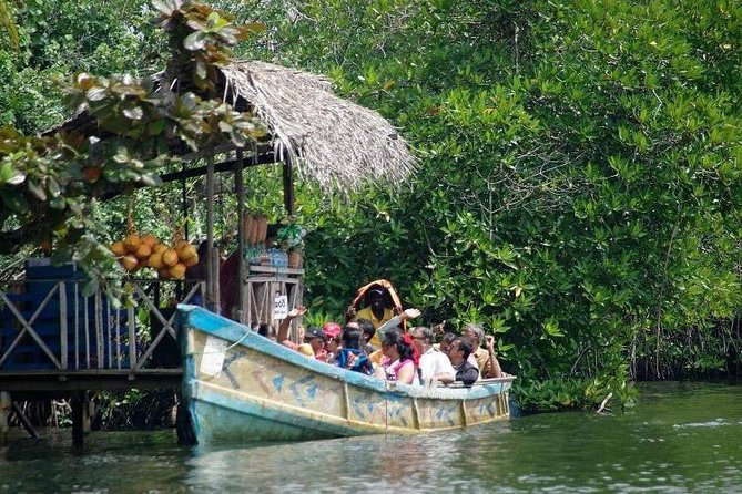 Madu River Boat Safari Balapitiya - Who Will Love This Tour?