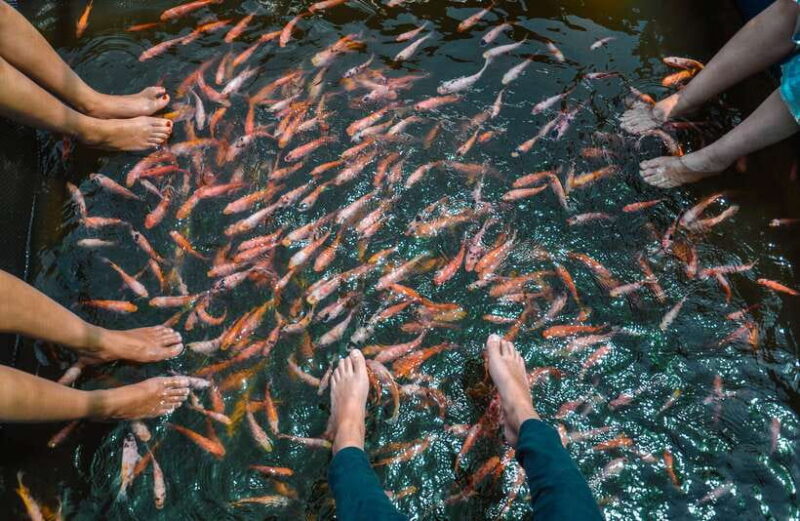 Madu River Boat Safari - Cultural and Culinary Highlights: Temples and Cinnamon Islands