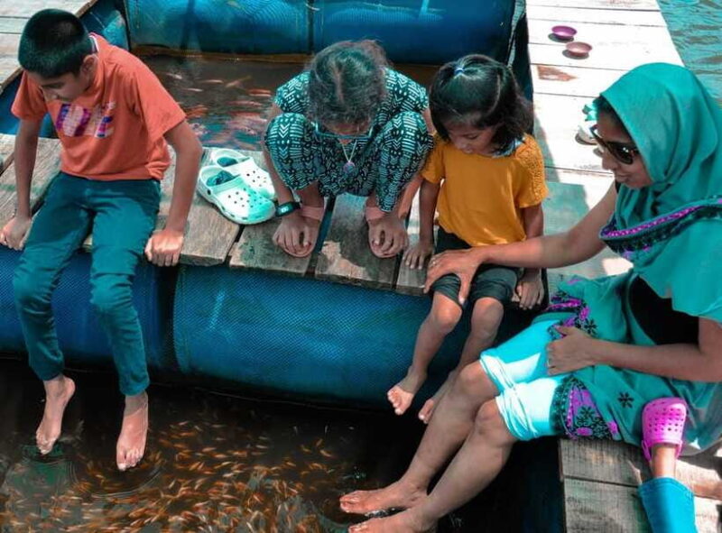 Madu River Boat Safari - Optional Fish Massage and Additional Costs