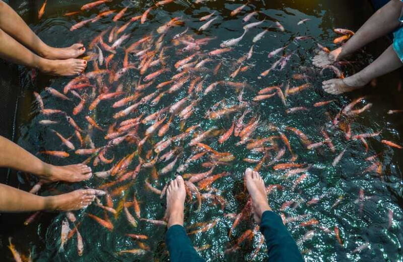 Madu River Boat Safari - Who This Tour Is Best For