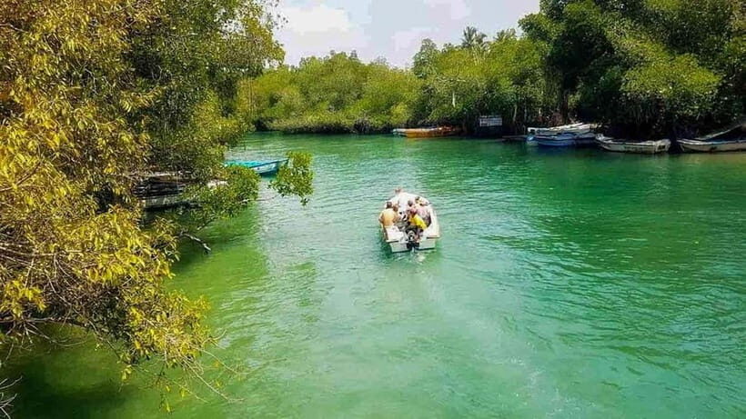 Madu River Boat Tour and Cinnamon Garden visit - A detailed look at the Madu River Boat Tour experience