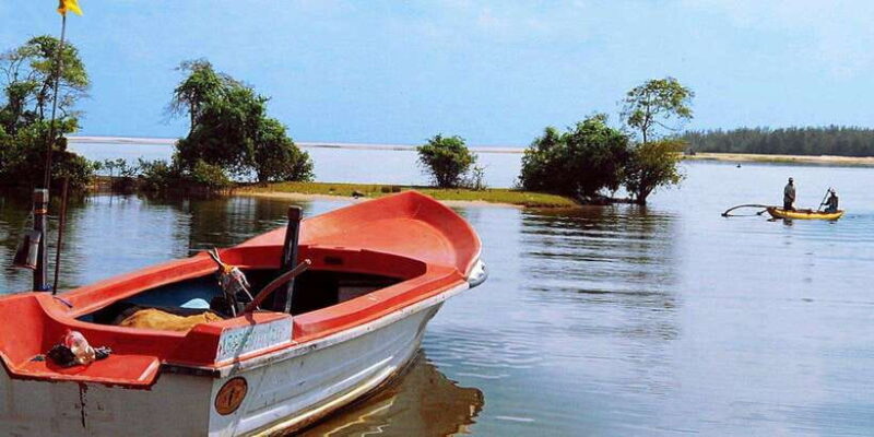 Madu River Boat Tour and Cinnamon Garden visit - Pricing and Value