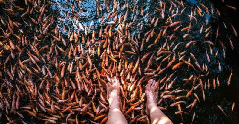 Madu River Boat Tour and Cinnamon Garden visit - Practical Tips for Travelers