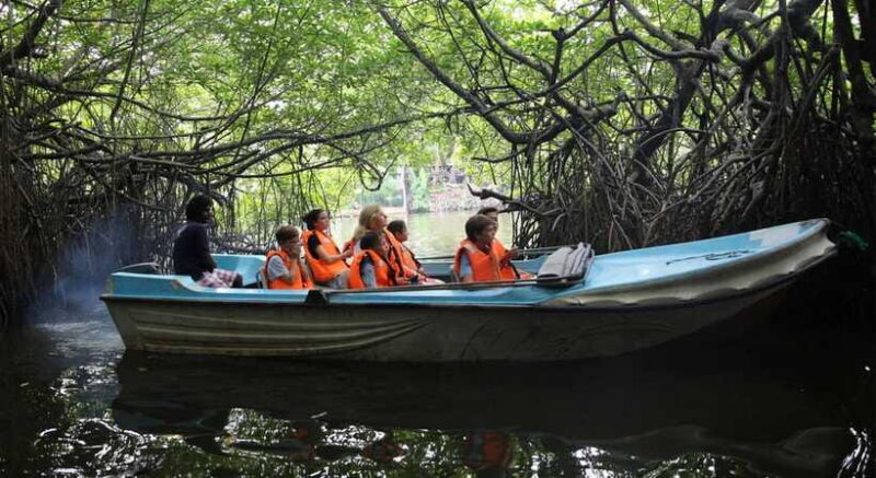 Madu River Boat Tour and Cinnamon Garden visit - FAQs