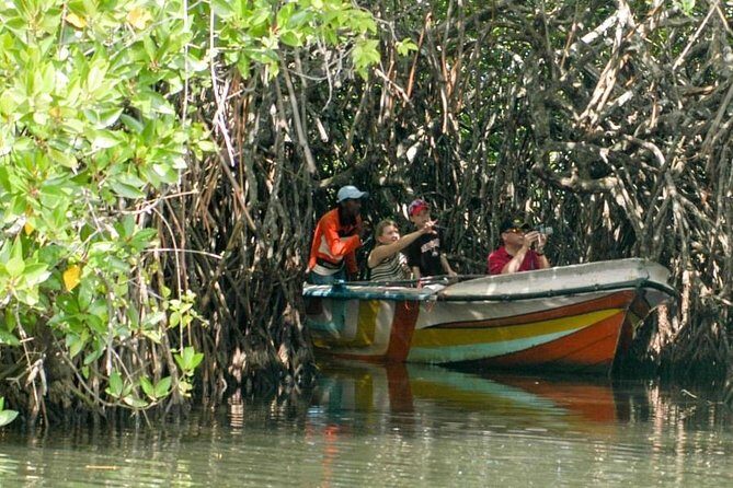 Madu River Safari at Balapitiya - A Deep Dive into the Madu River Safari Experience