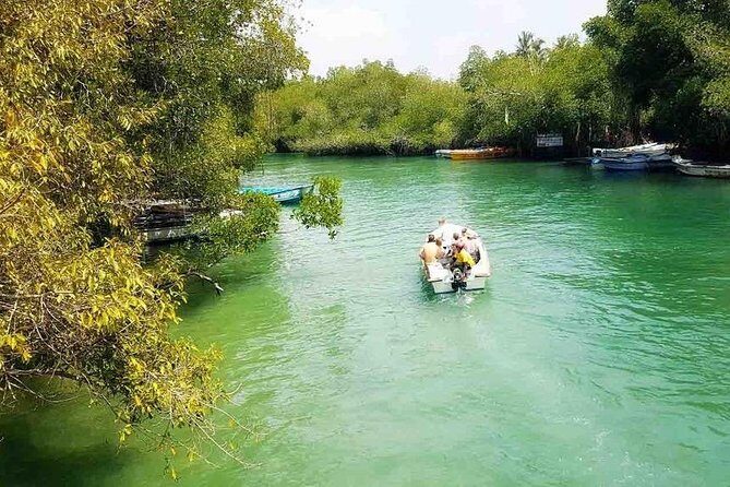 Madu River Safari at Balapitiya - Fish Therapy and Other Activities