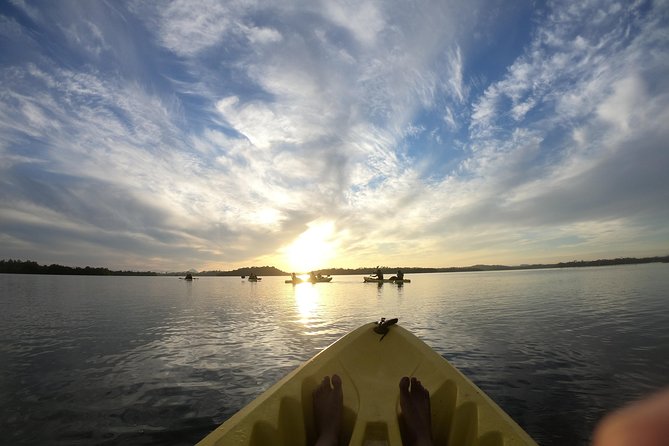 Madu River Sunrise Mangrove Kayaking from Bentota - FAQ