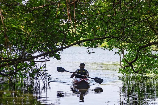 Madu River Sunrise Mangrove Kayaking from Bentota - Final Thoughts
