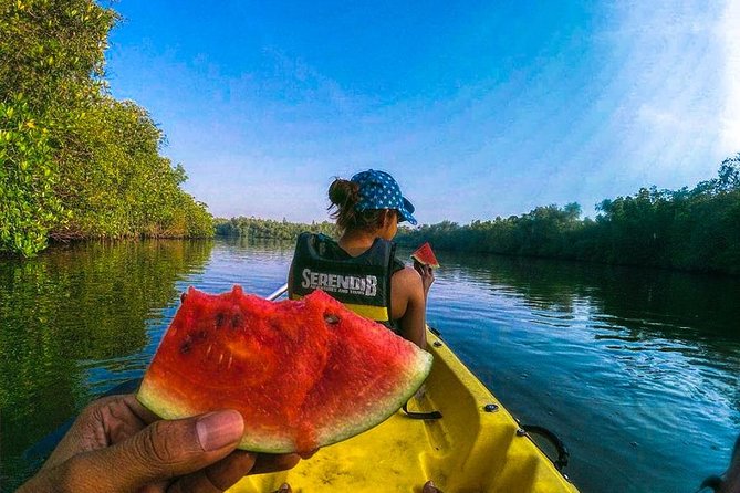 Madu River Sunrise Mangrove Kayaking from Colombo - Value and Practicalities