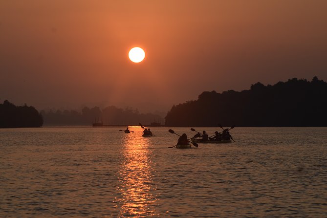 Madu River Sunrise Mangrove Kayaking from Colombo - How to Make the Most of Your Kayaking Morning