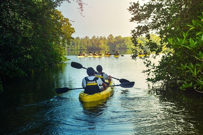 Madu River Sunrise Mangrove Kayaking from Colombo - The Sum Up