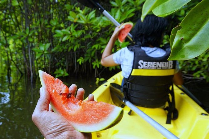 Madu River Sunrise Mangrove Kayaking from Colombo - FAQ