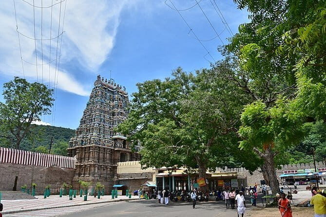 Madurai Cultural Walking Tour: Explore the City's Rich Heritage - Analyzing the Value