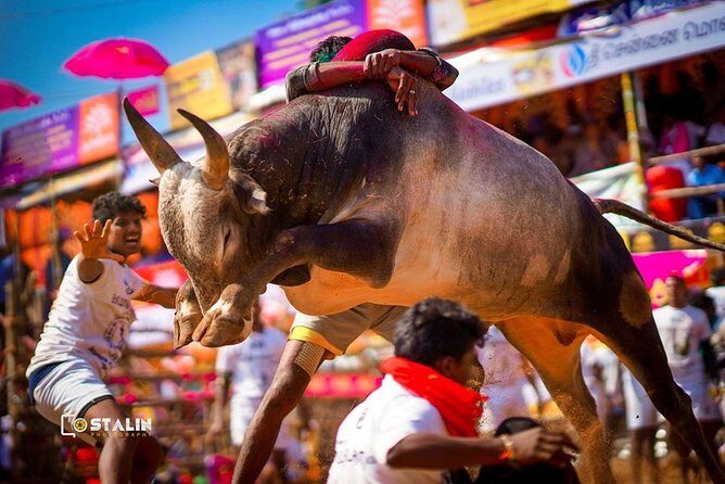 Madurai to Rameswaram Full-Day Tour - Final Thoughts