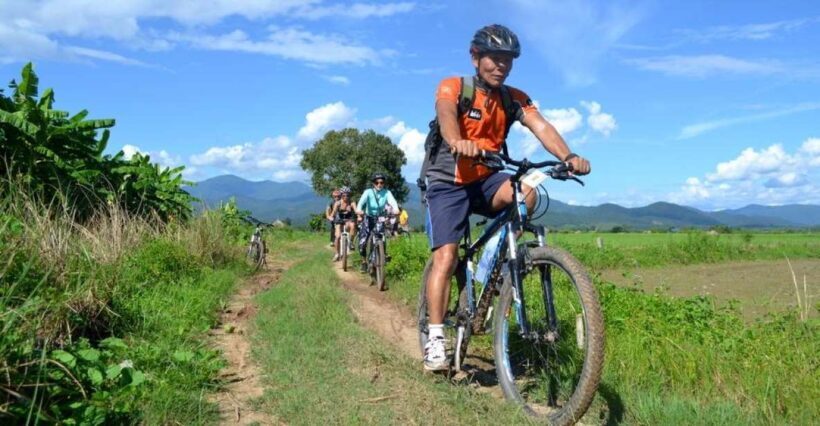 Mae Taeng Valley and Sticky Waterfalls Cycling Tour - A Closer Look at the Itinerary and Highlights