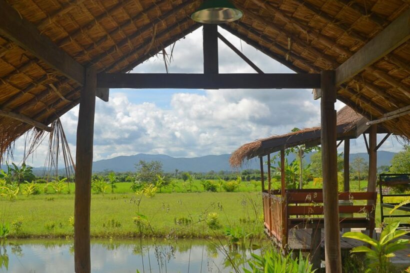 Mae Taeng Valley and Sticky Waterfalls Cycling Tour - Authentic Experiences and Authenticity