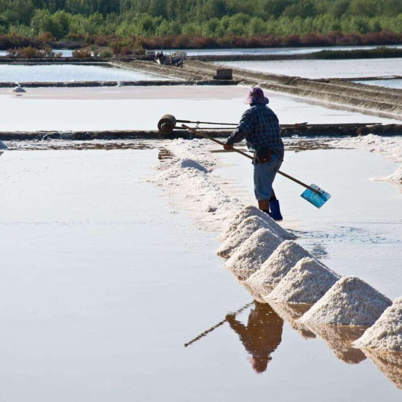 Maeklong Railway market, Floating Market, and Salt Lake Tour - Key Points