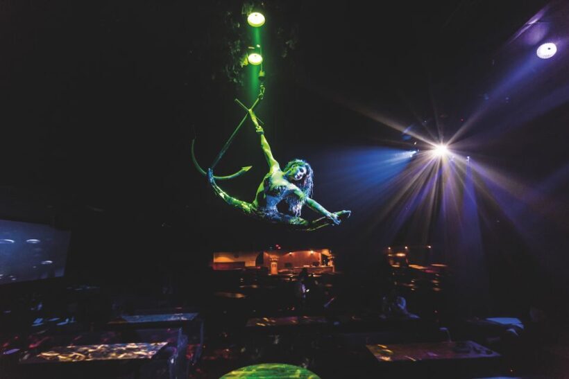 Magaluf: Pirates Adventure Dinner Show Ticket - Who Should Book This Experience?
