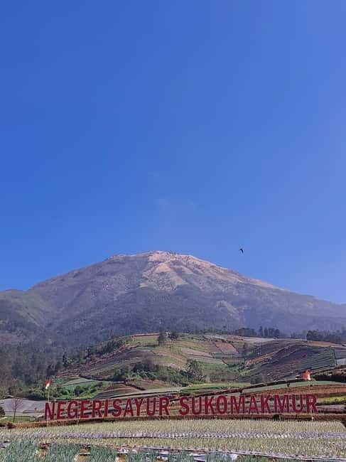 Magelang: Silancur Highland Sunrise & Sukomakmur Tour - FAQs