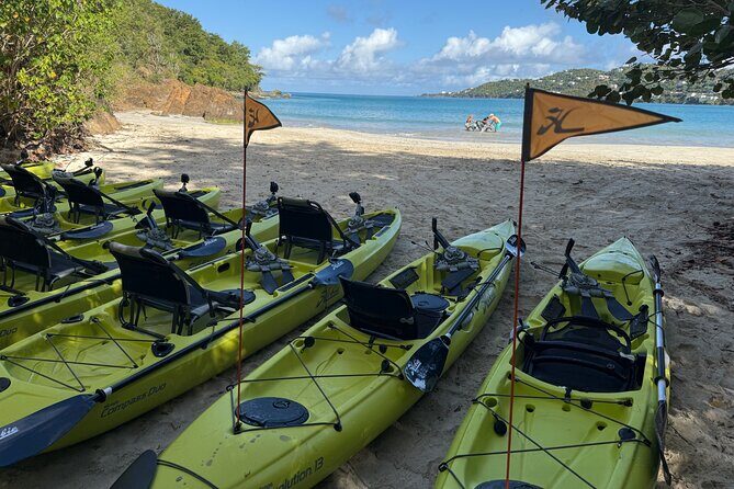 Magens Bay Nature Walk & premium hands-free Hobie Kayak Adventure - Key Points