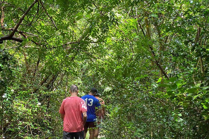 Magens Bay Trail Hiking Tour - The Full Experience: What to Expect from Start to Finish