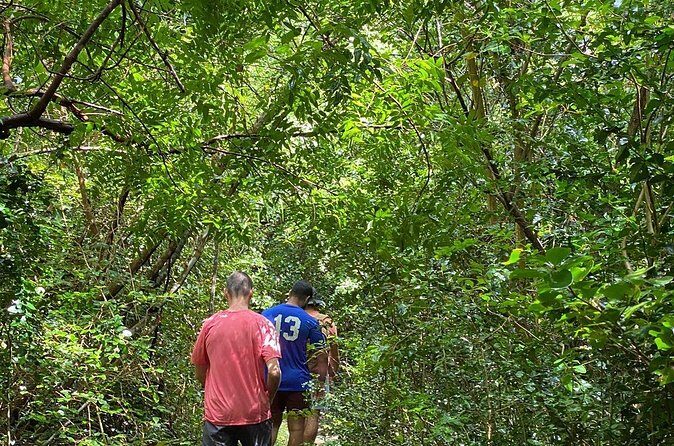 Magens Bay Trail Hiking Tour - Who Should Consider This Tour?