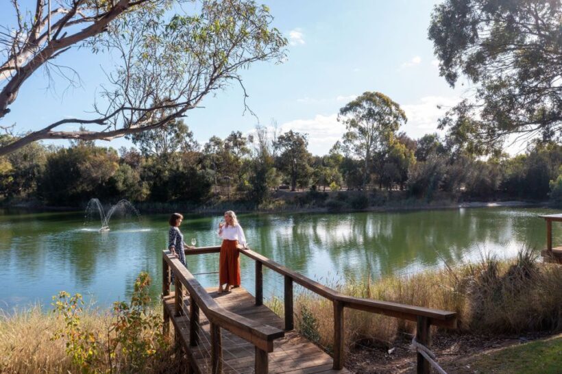 Maggie Beer's Farm: Cooking Demonstration with Lunch & Wine - Introduction: A Flavorful Day at Maggie Beer’s Farm