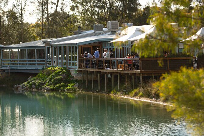 Maggie Beer's Farm Cooking School and Seasonal Lunch - A Detailed Look at the Maggie Beers Farm Cooking School Experience