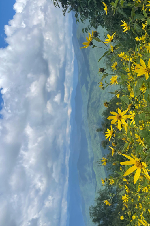 Maggie Valley: Guided Safari Jeep Mile-High Adventure - What’s Included and What to Bring