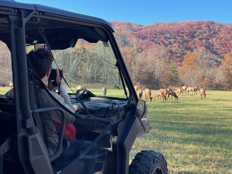 Maggie Valley: Guided Scenic UTV Adventure - FAQs