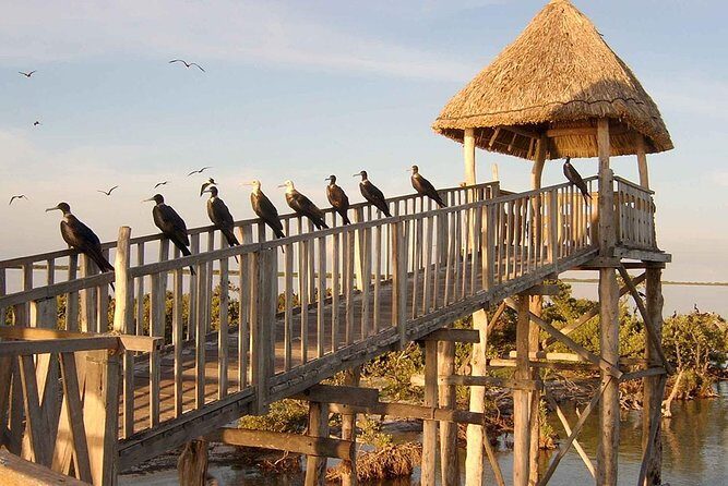 Magic Island Holbox! Experience From Cancun & Playa del Carmen - Final Thoughts