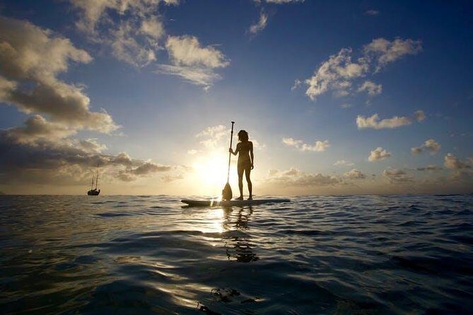 Magic Island Honolulu Stand Up Paddling - An In-Depth Look at the Paddleboarding Experience