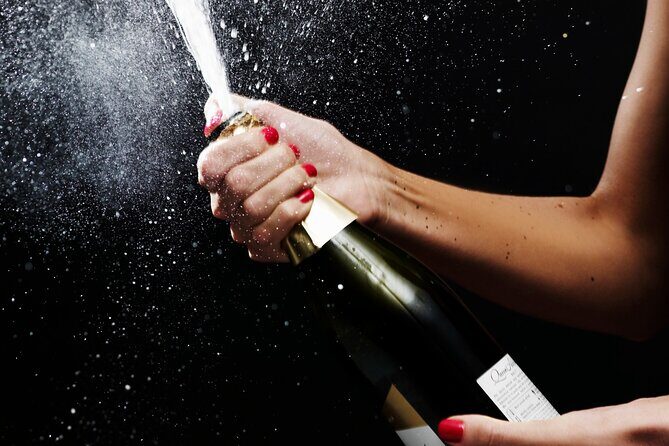 Magic Mike NON BUS Traverse City Old Mission Peninsula Wine Tour - FAQs