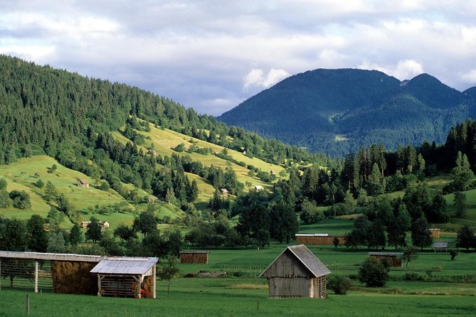Magic of Alps, Triglav NP with Lake Bohinj & Waterfall Savica, HD Trip from Ljub - Key Points