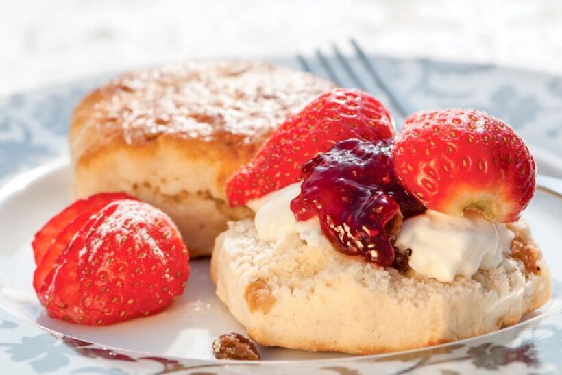 Magic of London Tour with Afternoon Tea at Harrods - FAQ