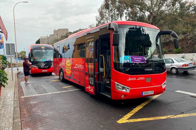Magic Stargazing & Sunset in Teide with Dinner + Telescopes - The Sum Up