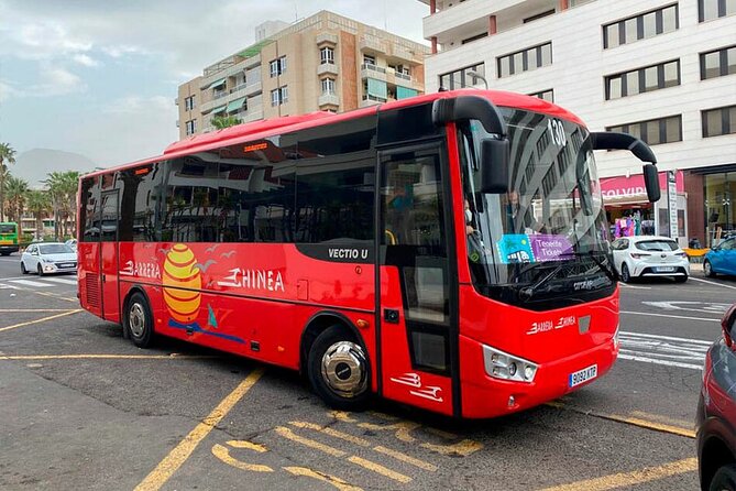 Magic Stargazing & Sunset in Teide with Dinner + Telescopes - FAQ