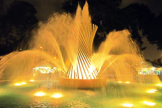 Magic Water Circuit With Dinner - Dining and Cuisine